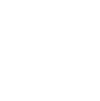 Hayes Performance Systems | About Hayes Brands